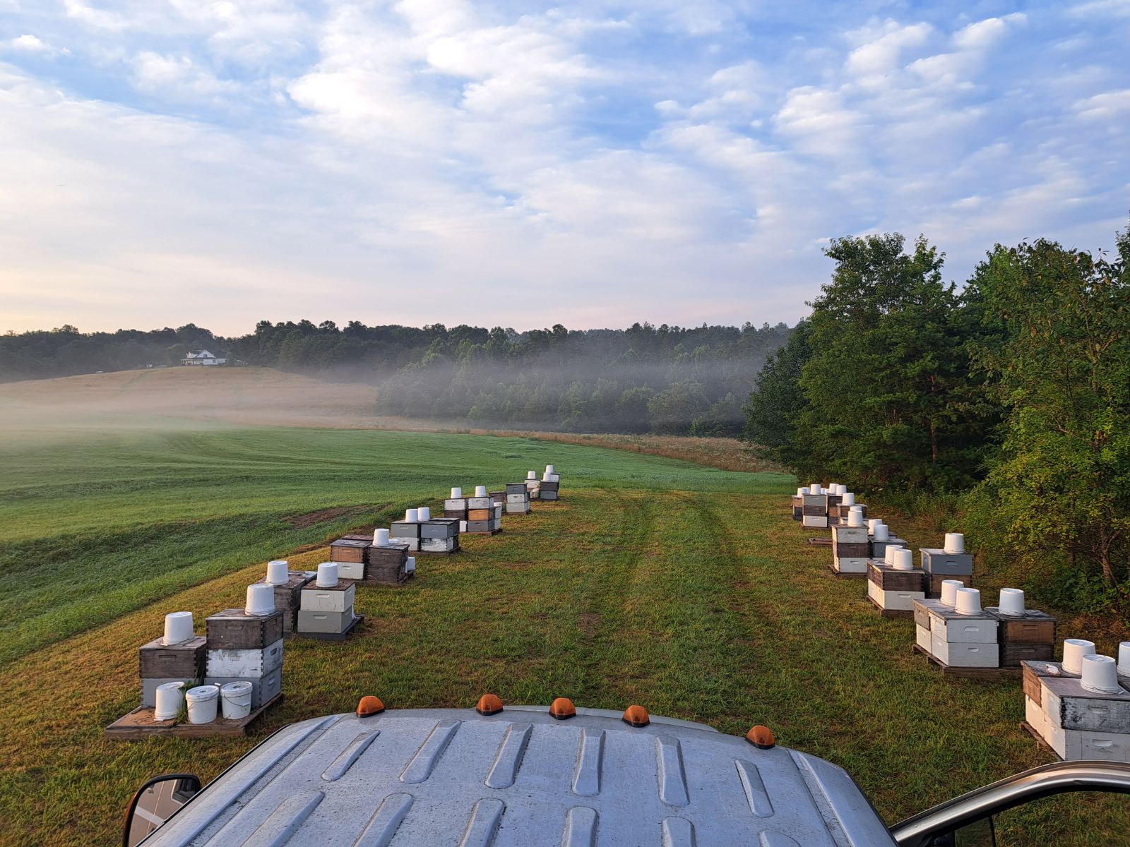 Hoopers Creek Bee Company – Hoopers Creek Bee Company